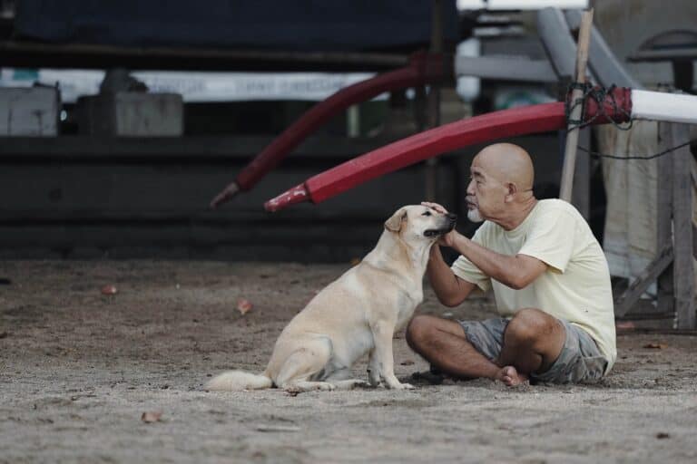 Man's Best Friend: Heart and Soul of Canine Companions - Our World of Dogs