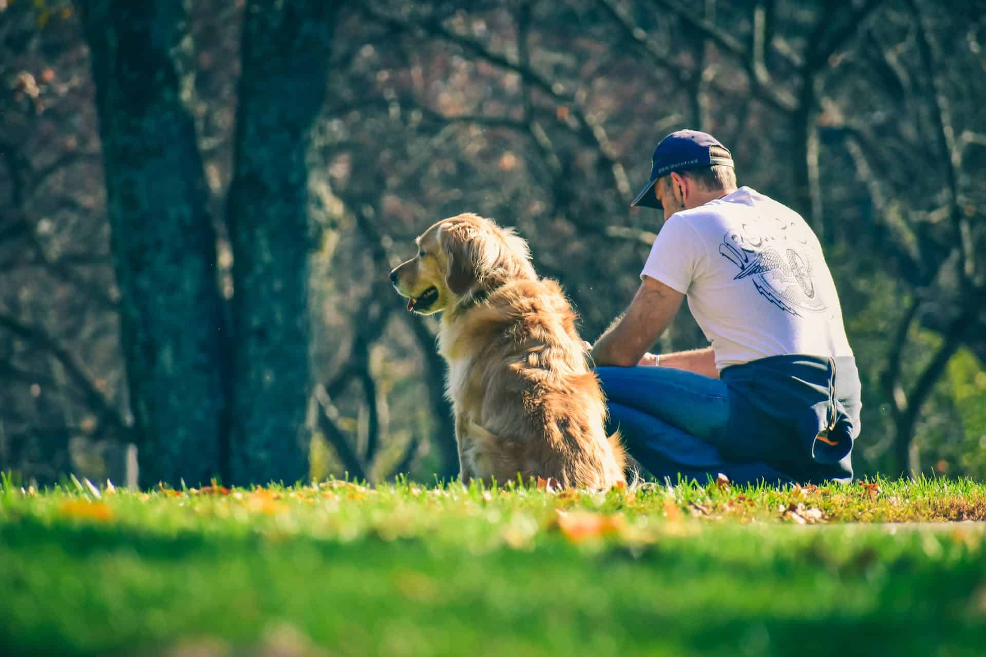 Man's Best Friend: Heart and Soul of Canine Companions - Our World of Dogs