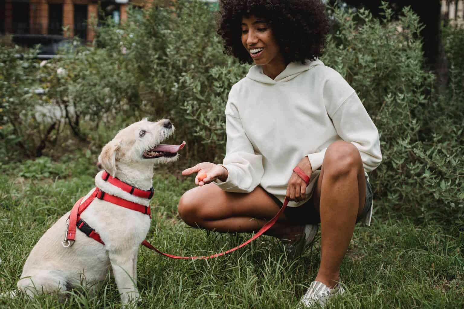 Man's Best Friend: Heart and Soul of Canine Companions - Our World of Dogs