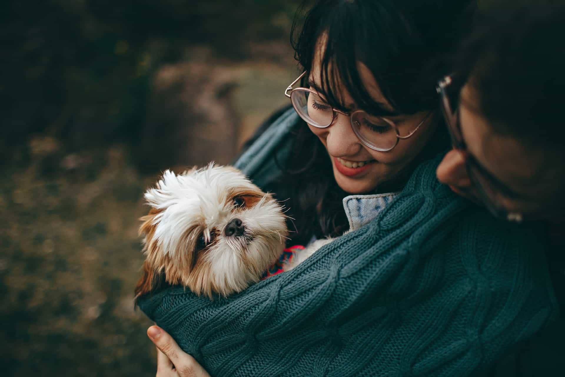 Uncovering the Impactful Ways Dogs Influence Humans - Our World of Dogs